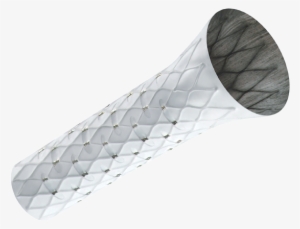 Endovascular Stent Transparent PNG - 700x500 - Free Download on NicePNG