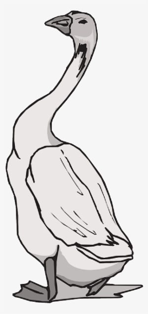 Mb Image/png - Gander Transparent PNG - 800x1600 - Free Download on NicePNG