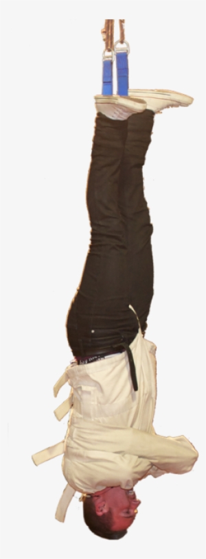 Scott Hammell Transparent PNG - 274x701 - Free Download on NicePNG