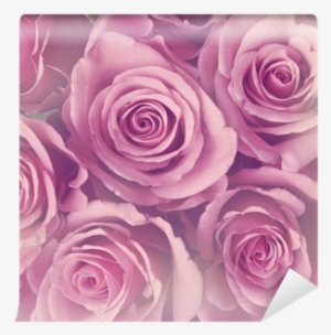 Roze Rozen Transparent PNG - 400x400 - Free Download on NicePNG