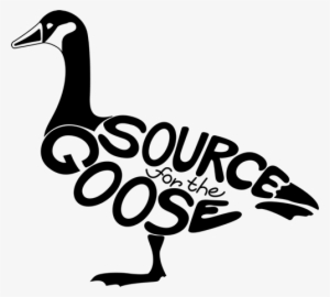 Download Our Logo - Logo - HD Transparent PNG - NicePNG.com