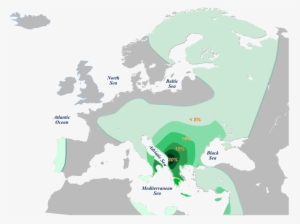 R1b Haplogroup Transparent PNG - 600x481 - Free Download on NicePNG