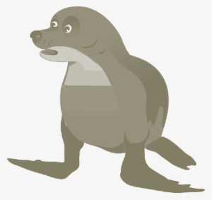 Mb Image/png - Pinniped Transparent PNG - 800x757 - Free Download on ...
