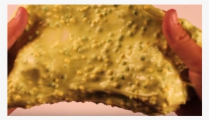 Bungeoppang Transparent PNG - 500x500 - Free Download on NicePNG