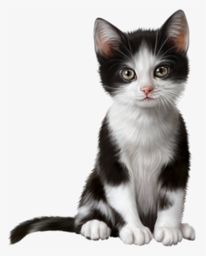 Kot PNG & Download Transparent Kot PNG Images for Free - NicePNG