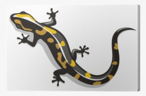Salamandra Vector Transparent PNG - 400x400 - Free Download on NicePNG