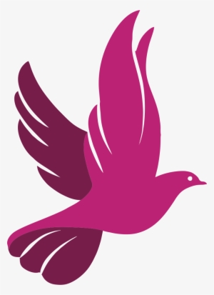 Pankh Feedyeti - More Pankh Transparent PNG - 743x1024 - Free Download ...