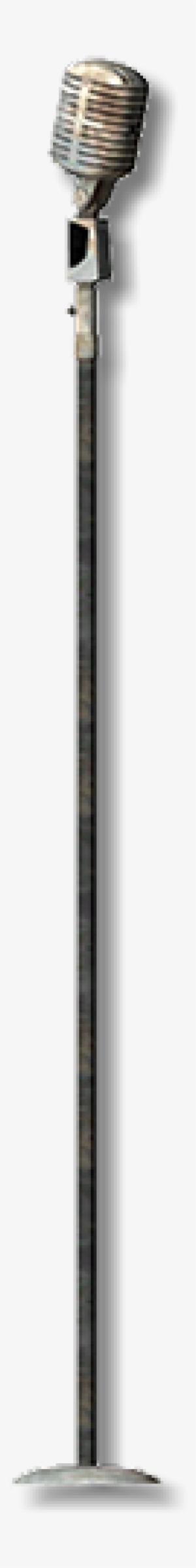 Smallscale Blackfish Transparent PNG - 842x564 - Free Download on NicePNG