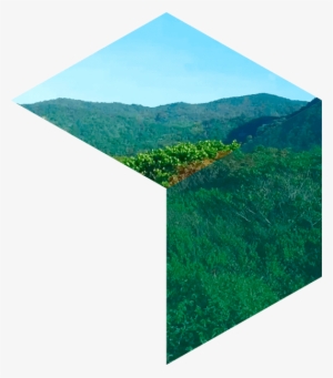 Background - E.bricks Ventures Transparent PNG - 533x606 - Free ...