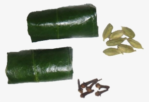 Suman Transparent PNG - 600x400 - Free Download on NicePNG