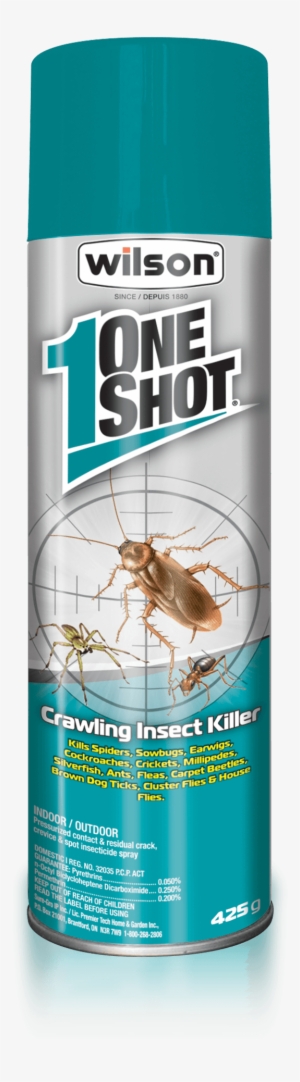 Arachnicide Transparent PNG - 2160x2160 - Free Download on NicePNG