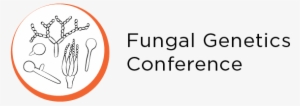Fungal Logo - Logo Transparent PNG - 680x228 - Free Download on NicePNG