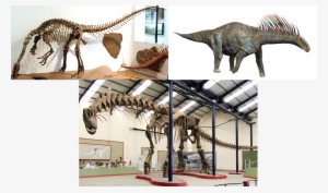 Argentinosaurus Huinculensis Transparent PNG - 2057x1220 - Free ...