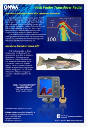 Fishfinder Transparent PNG - 690x497 - Free Download on NicePNG