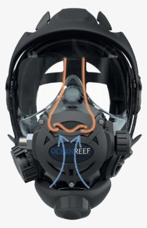 Why An Idm - Oceanreef Transparent PNG - 450x650 - Free Download on NicePNG
