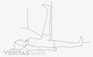 Hamstring Transparent PNG - 576x324 - Free Download on NicePNG