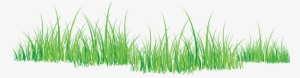 Greengrass Png Transparent PNG - 841x221 - Free Download on NicePNG