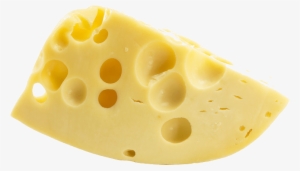 Gouda - Gouda Png Transparent PNG - 490x330 - Free Download on NicePNG