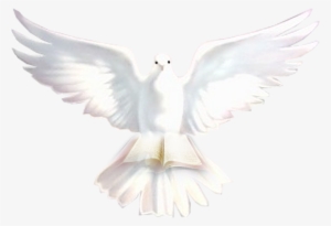 Roh Kudus Png - Metoma Transparent PNG - 1600x1098 - Free Download on ...