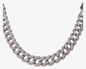 Bnn Logo Png Transparent PNG - 1200x1200 - Free Download on NicePNG