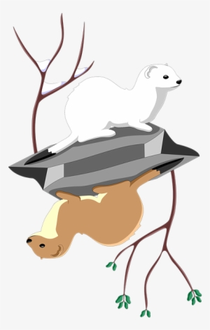 Stoat Transparent PNG - 407x640 - Free Download on NicePNG