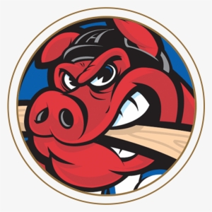Download - Rockford Icehogs Logo Transparent PNG - 1500x1500 - Free ...