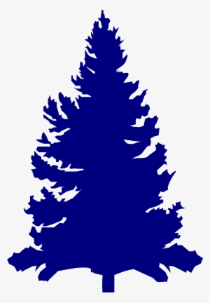 Open - Pinus Vector Transparent PNG - 2000x2840 - Free Download on NicePNG