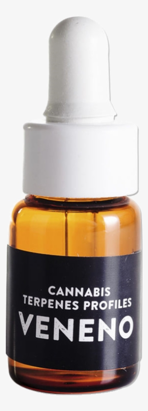 Veneno Transparent PNG - 800x800 - Free Download on NicePNG
