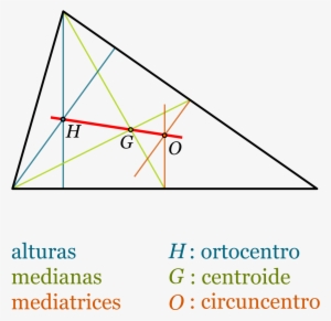 Baricentro Ortocentro Y Circuncentro Transparent PNG - 1200x1234 - Free ...