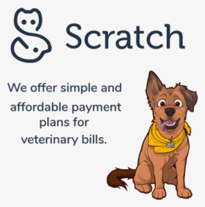 Scratchpay - Gigant.pl Velká Kniha Meditačních Cvičení Transparent PNG ...