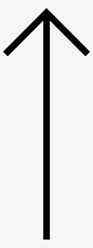 Tiwaz Transparent PNG - 496x1318 - Free Download on NicePNG