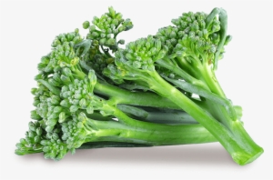 Broccolini Transparent PNG - 860x579 - Free Download on NicePNG