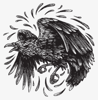 Redbubble-raven - Illustration Transparent PNG - 1000x1000 - Free ...