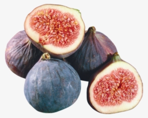 Figues Png Transparent PNG - 600x480 - Free Download on NicePNG