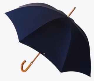 Parapluie Transparent PNG - 600x549 - Free Download on NicePNG