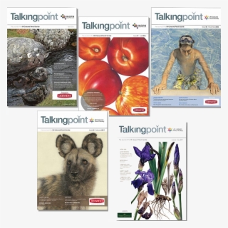 Banners Ukcps 1,medium Large - Portable Network Graphics Transparent ...