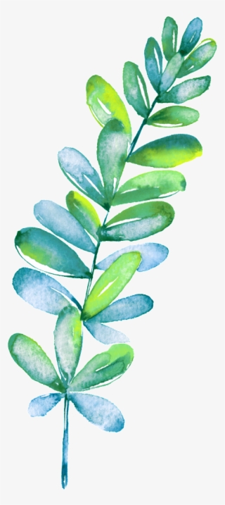 Beautiful Painted Green Plant Vector Transparent PNG - 1024x1024 - Free ...