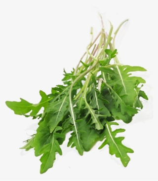 Ruccola - Ruccola Png Transparent PNG - 600x600 - Free Download on NicePNG