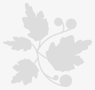 Our Life - Illustration Transparent PNG - 2277x2179 - Free Download on ...
