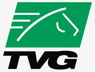 Tvg Network Transparent PNG - 1200x923 - Free Download on NicePNG