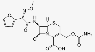 Cefalexin Transparent PNG - 1200x683 - Free Download on NicePNG