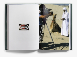 81 - Portable Network Graphics Transparent PNG - 1200x900 - Free ...