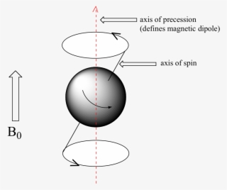 Image004 Transparent PNG - 880x744 - Free Download on NicePNG