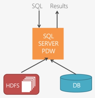 Polybase Transparent PNG - 770x812 - Free Download on NicePNG