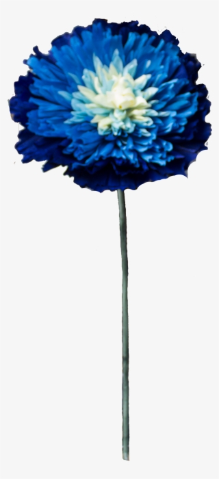 Astra PNG & Download Transparent Astra PNG Images for Free - NicePNG