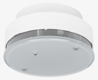 Salva Is Determind - Cartoon Transparent PNG - 1164x385 - Free Download ...