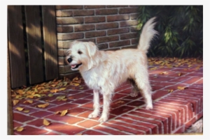 Ahmad Haraji Transparent PNG - 750x750 - Free Download on NicePNG