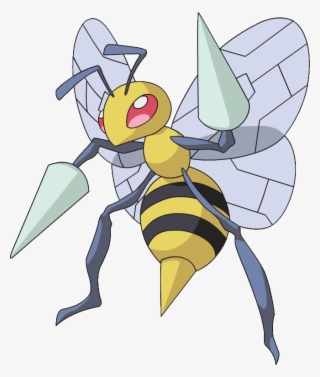 Beedrill Photo Beedrill Transparent PNG - 657x775 - Free Download on ...