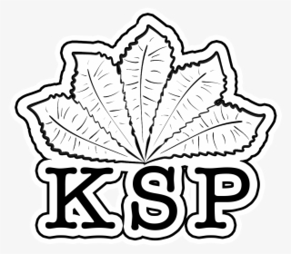 Drew Drawing Brees Transparent PNG - 1152x1152 - Free Download on NicePNG