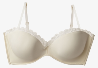Brasier - Brassiere Transparent PNG - 3274x2488 - Free Download on NicePNG